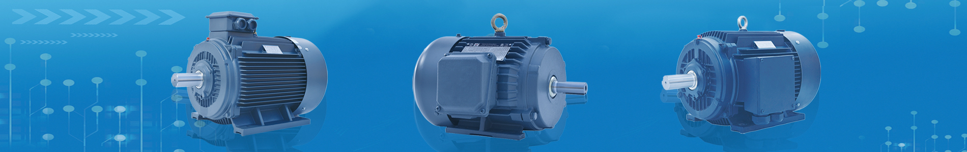 YE3（IE3）Series Premium Efficiency Three Phase Asynchronous Motor